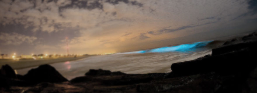 Una playa bioluminiscente - Descubriendo DestinosDescubriendo Destinos